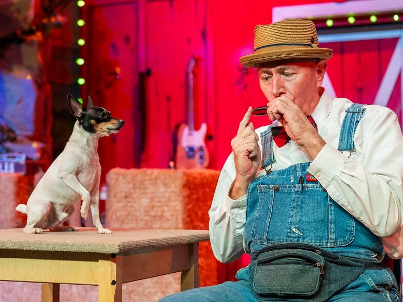 Comedy Barn Show Schedule | Pigeon Forge Show Information