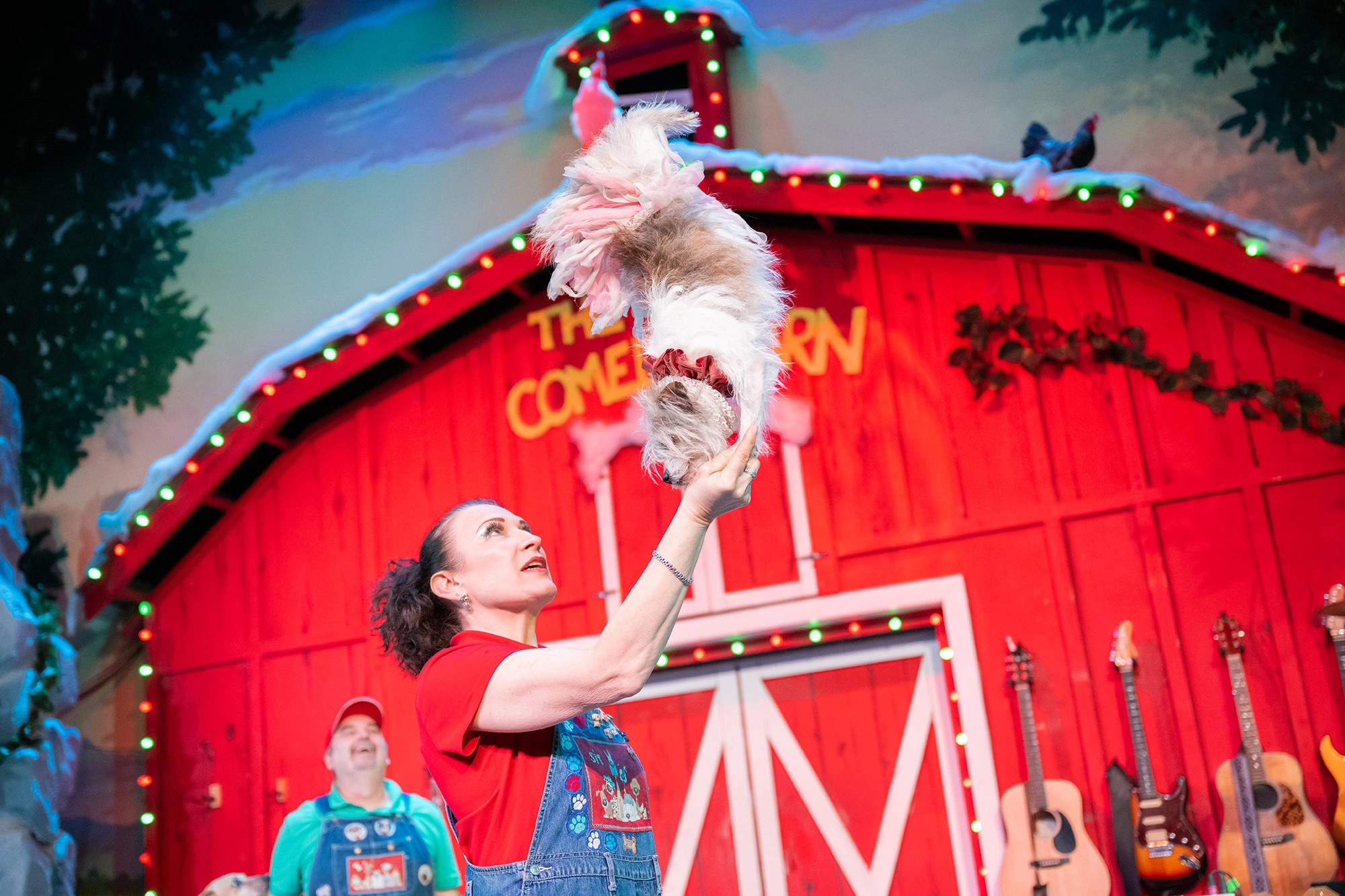 Pigeon Forge Family Friendly Comedy Show - The Comedy Barn